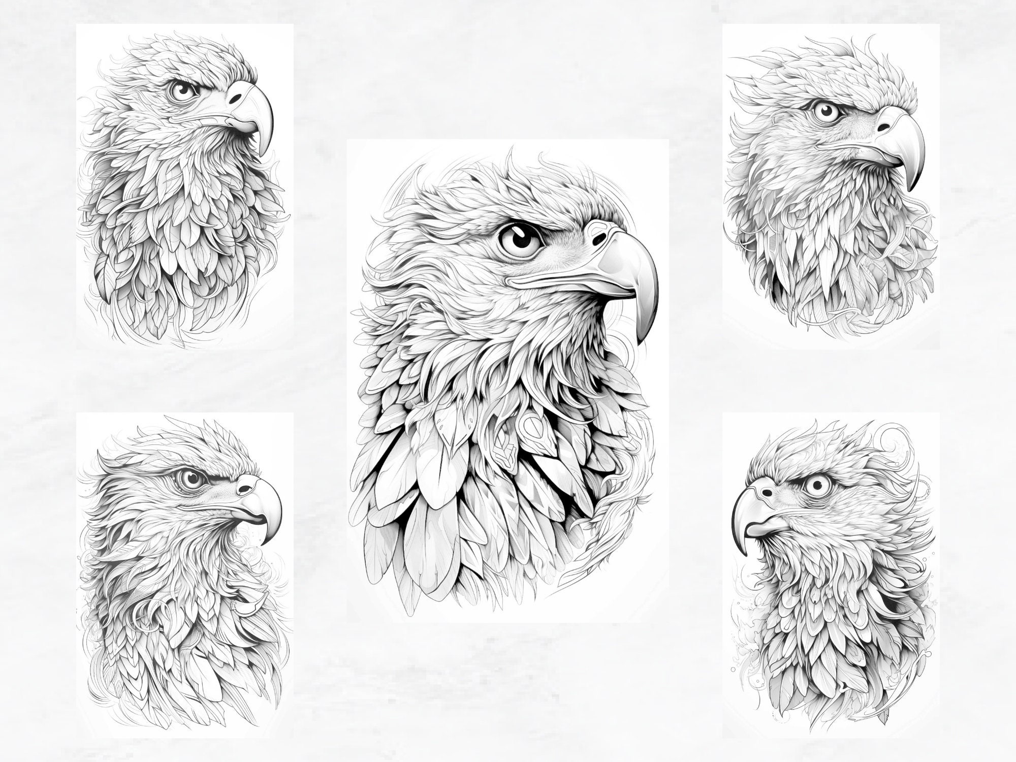 10 Coloring Pages Falcon Coloring Book for Adults, Whimsical Eagle ...
