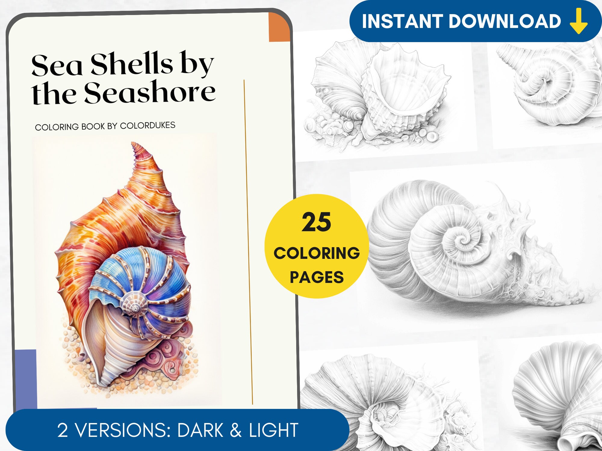 25 Coloring Pages Sea Shells Coloring Book Summer Grayscale - Etsy