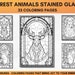 33 Stained Glass Coloring Pages of Forest Animals, Not Grayscale Adult ...