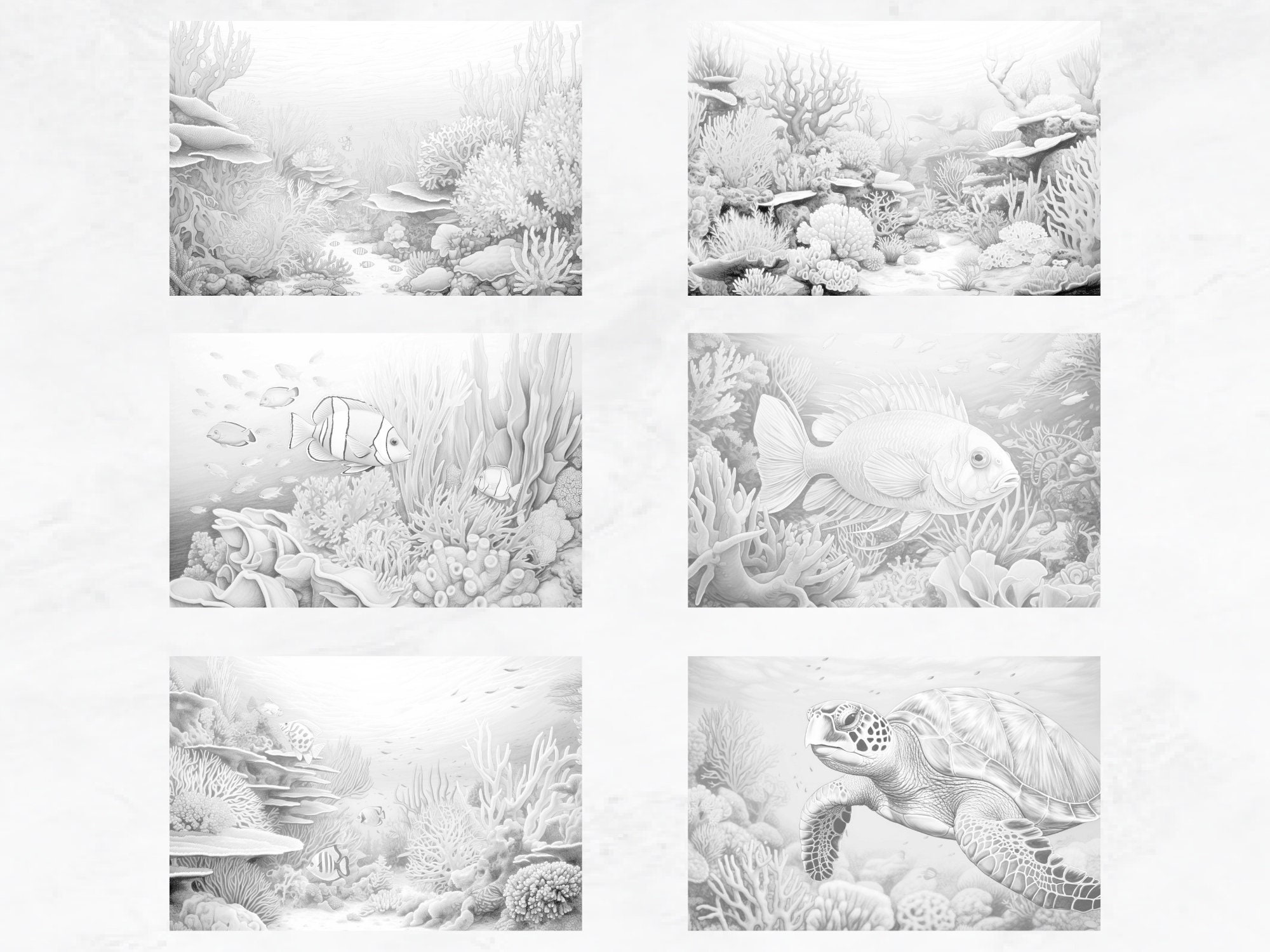 25 Coloring Pages, Coral Reef Coloring Book Summer Grayscale Coloring ...
