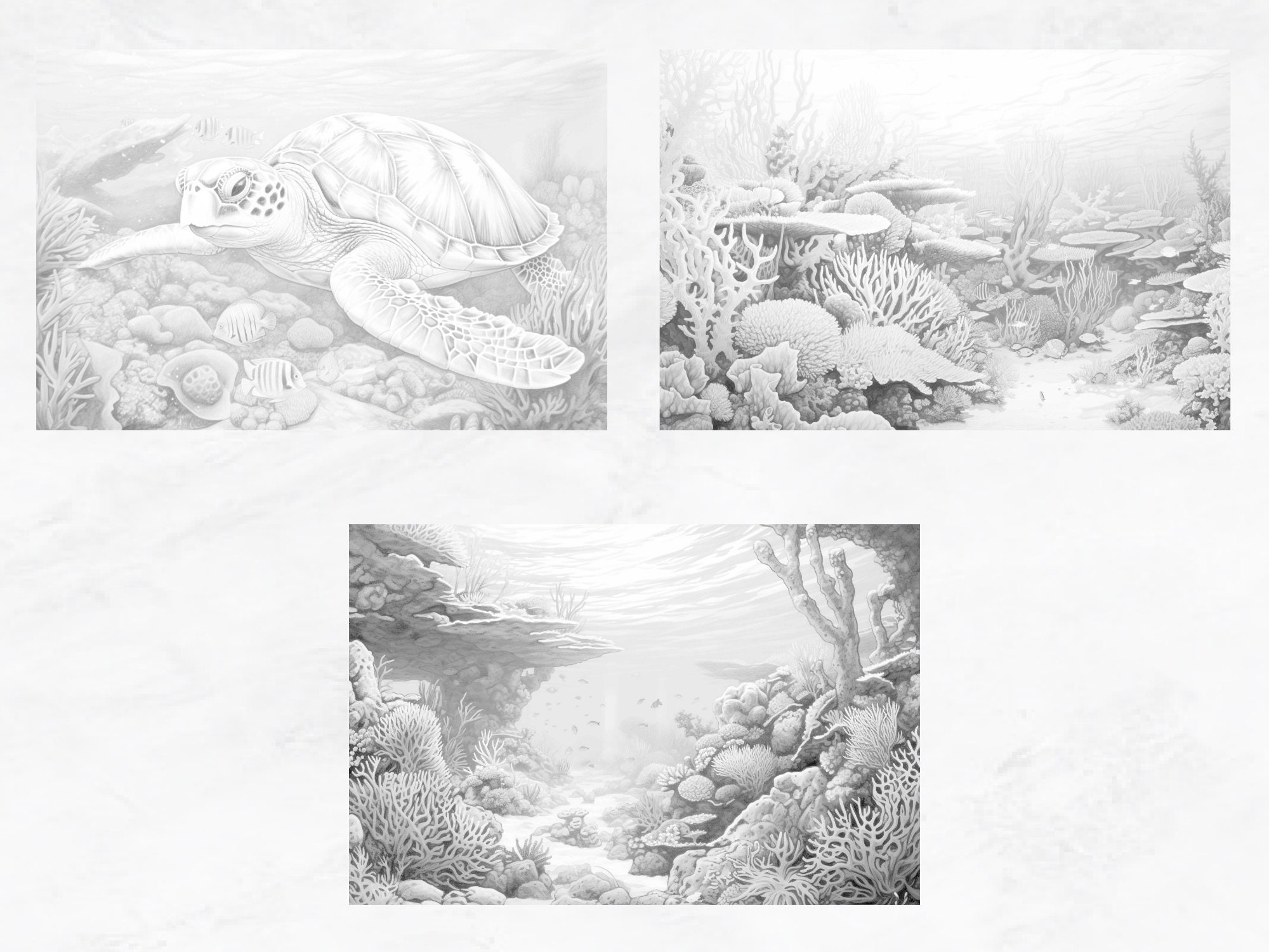 25 Coloring Pages, Coral Reef Coloring Book Summer Grayscale Coloring ...
