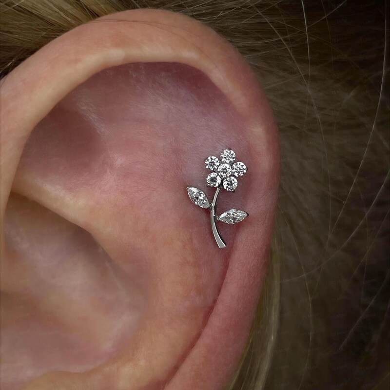 Conch Earring - Etsy