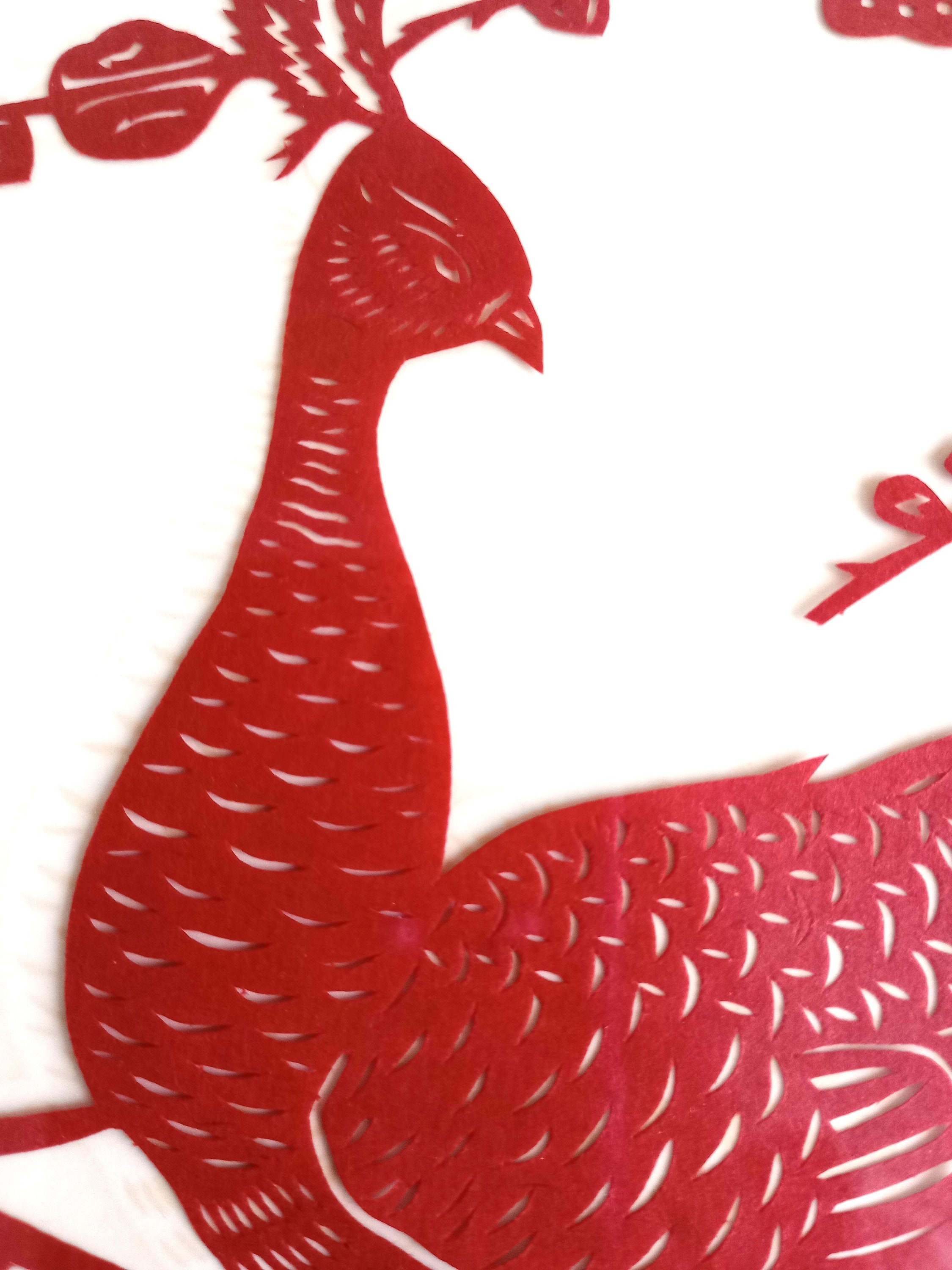 Art Scherenschnitte Paper Folk Art Scissor Cut Peacock Intricate Red ...