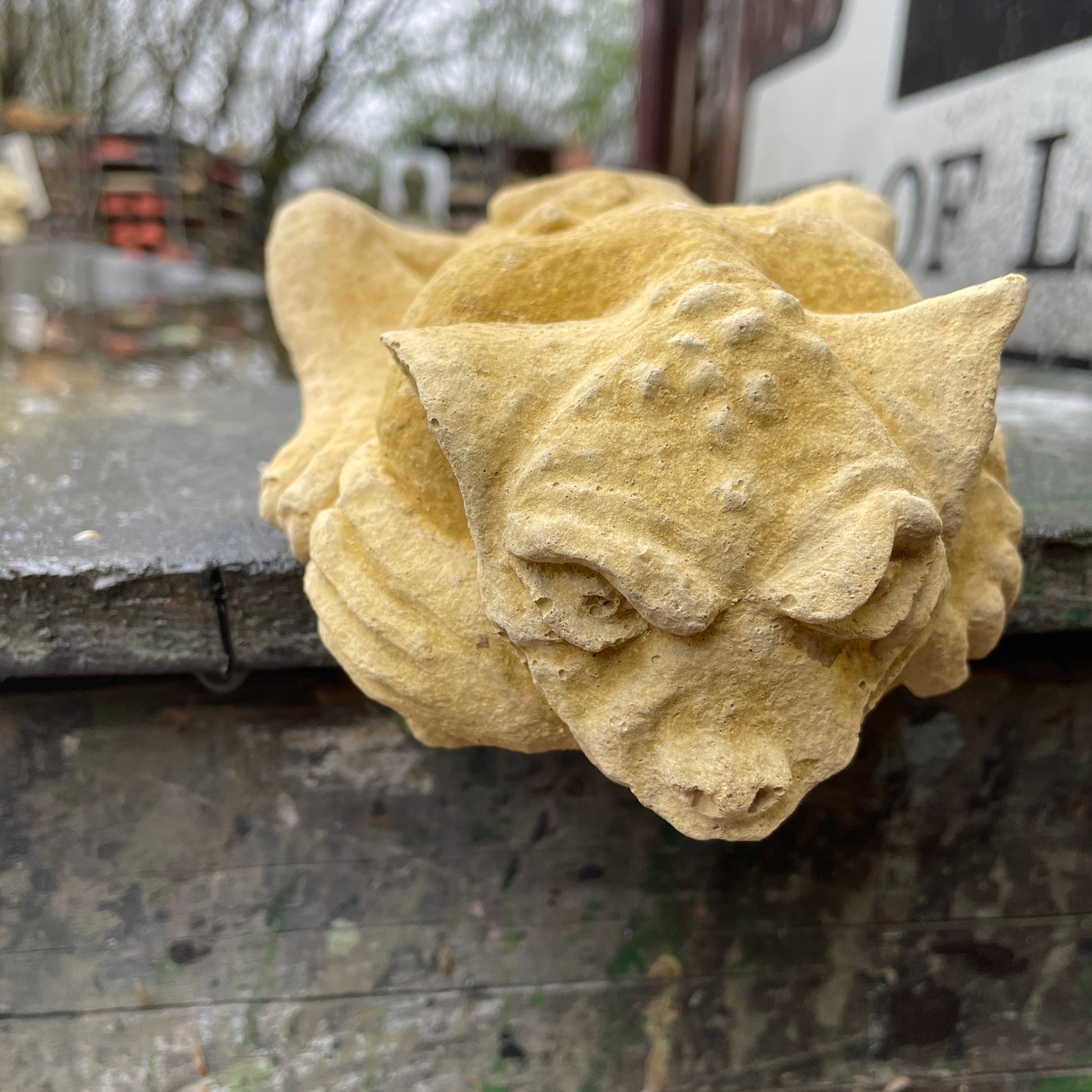 Plain Memento Mori / Medieval Style Sculpture / Gothic Church Gargoyle ...