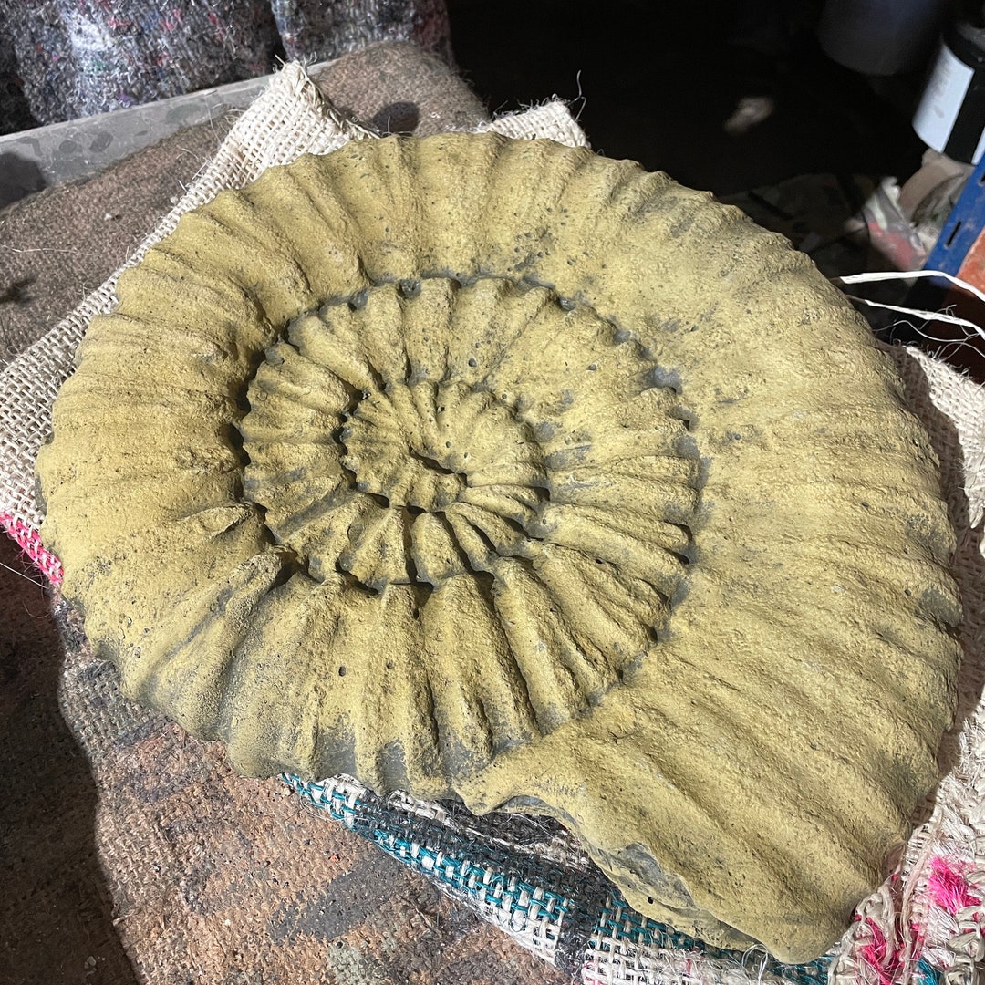 Aged Grand Tour Natural History Hanging Sculpture / Stepping Stone - A ...