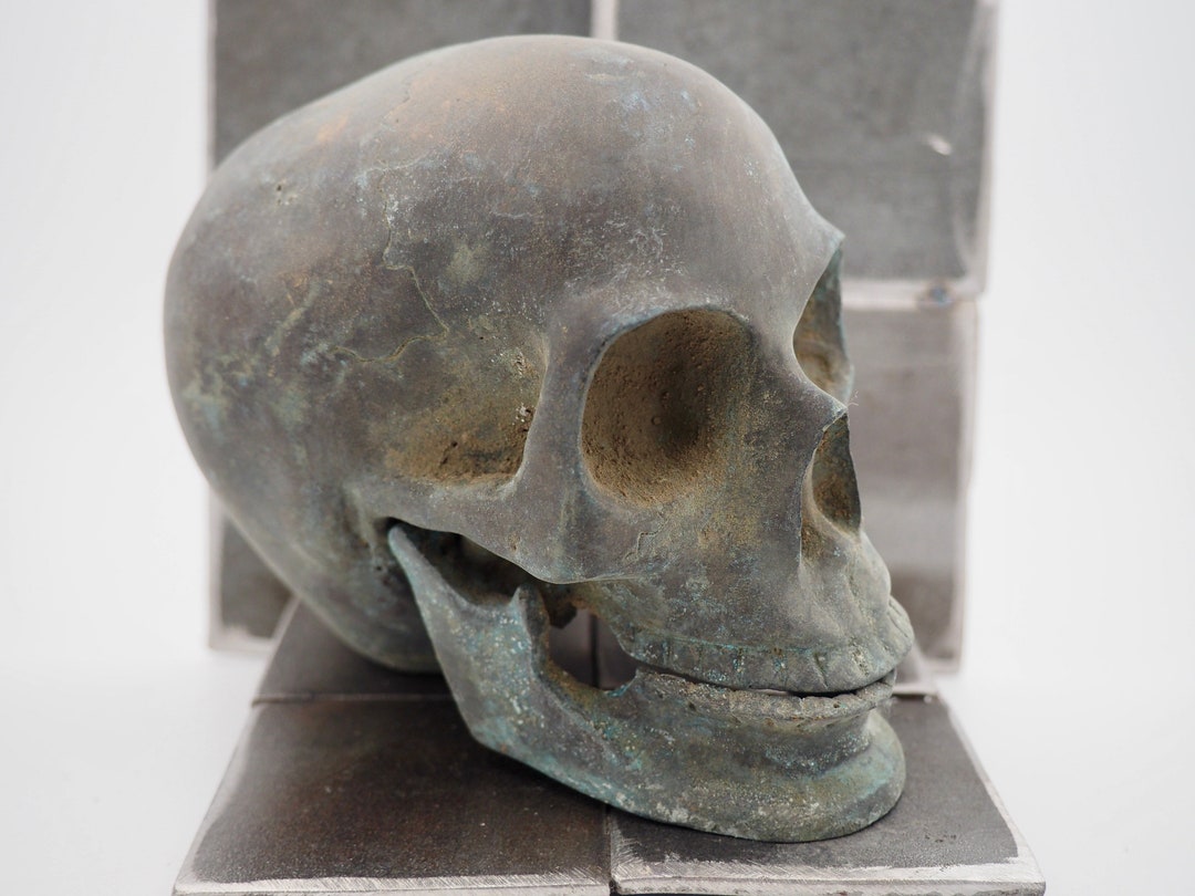 Aged Anatomical Bronzed Macabre Gothic Oddity: A Memento Mori Vanitas ...