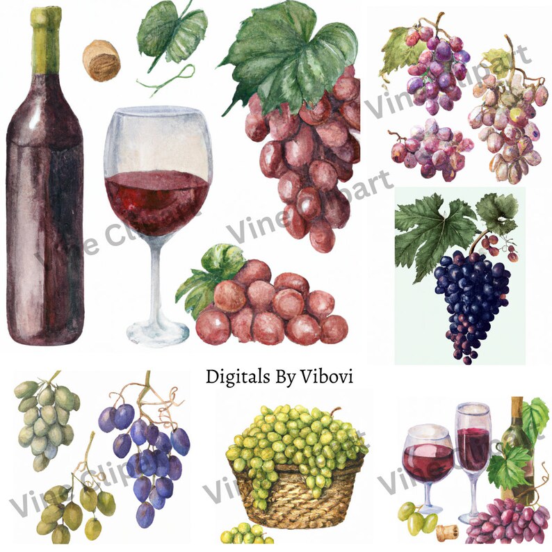 Watercolor Wine and Grapes Clipart, White and Red Wine Glass, Winery ...