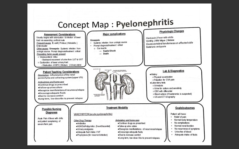 23-page Comprehensive Urologic Disorders Exam Study Guide, Medsurg ...