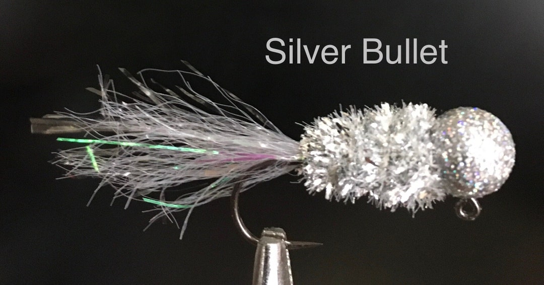 Crappie Jig Silver Bullet - Etsy
