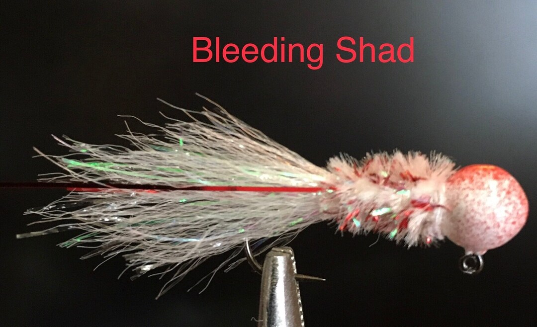 Crappie Jig Bleeding Shad - Etsy