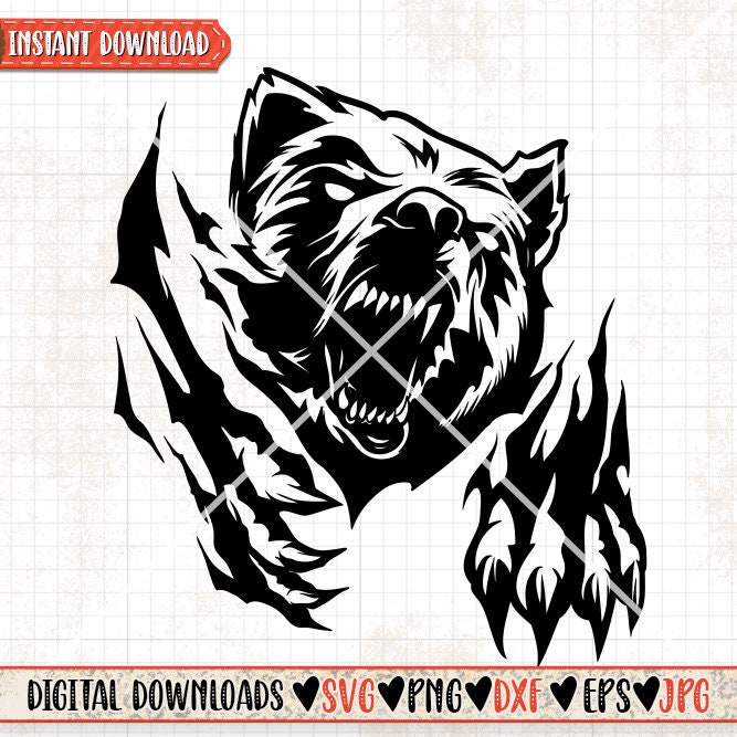 Grizzly Bear Scratch Svg | Wild Brown Bear Clipart | Wildlife Shirt Png ...