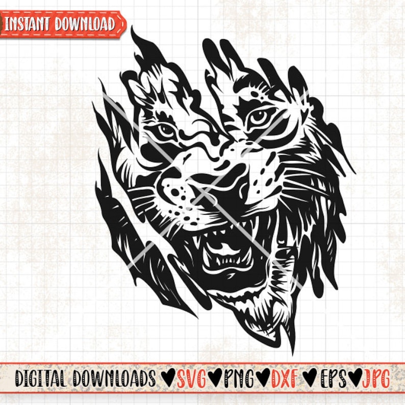 Lion Scratch Svg | Wild Animal Clipart | Zoo Life Cutfile | Beast Claw ...