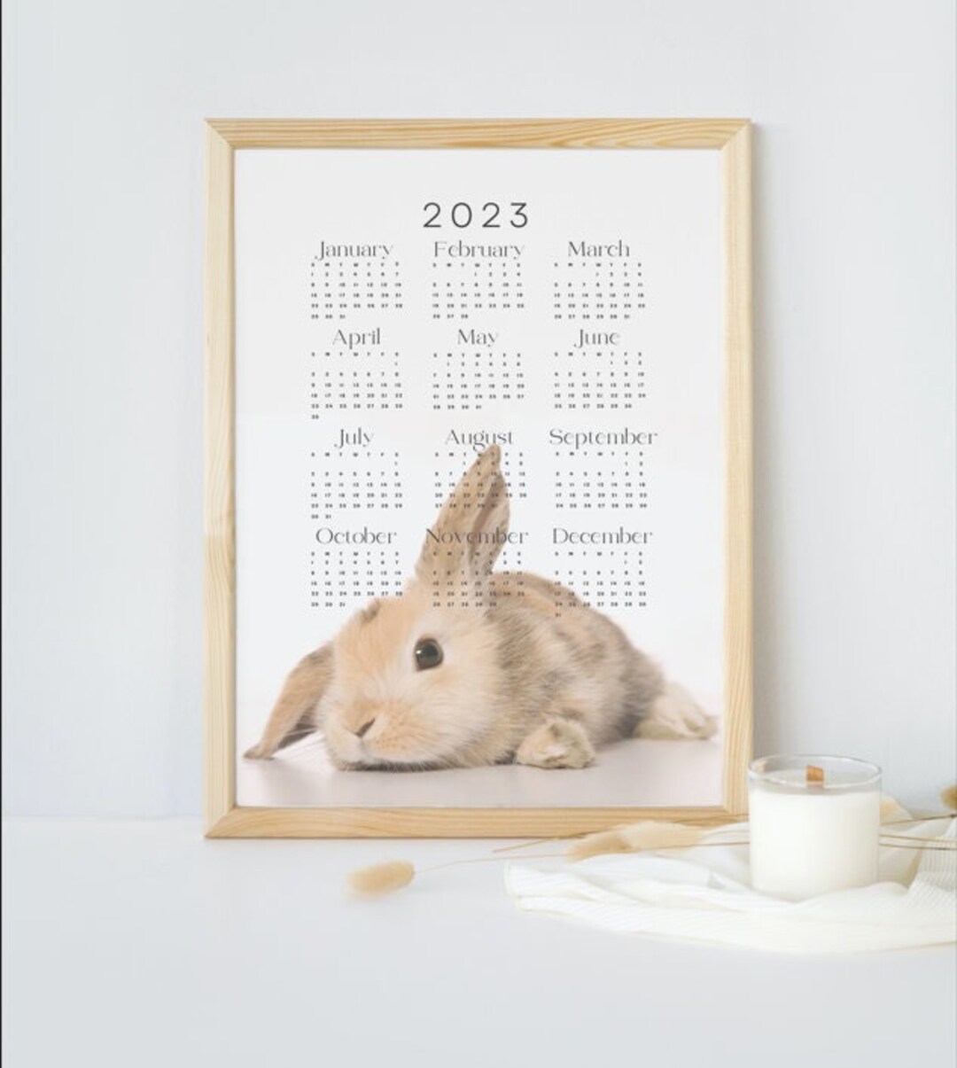 Bunny Yearly Calendar 2023 Printable, Yearly Calendar, New Years ...