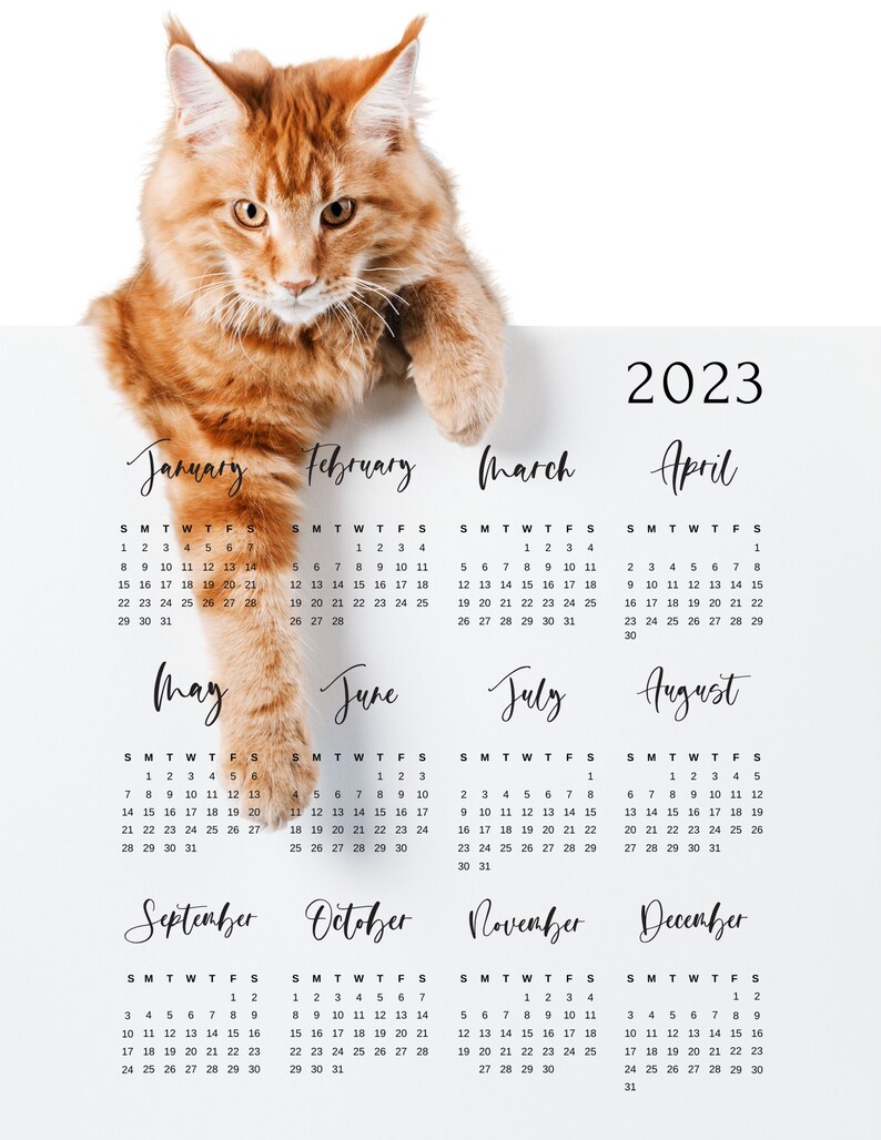 Cute Cat Yearly Calendar 2023 Printable, Yearly Calendar, New Years ...