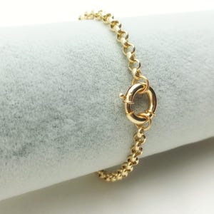 14K Gold Rolo Chain Sailor Claps, Spring Ring Claps Necklace, Rolo ...