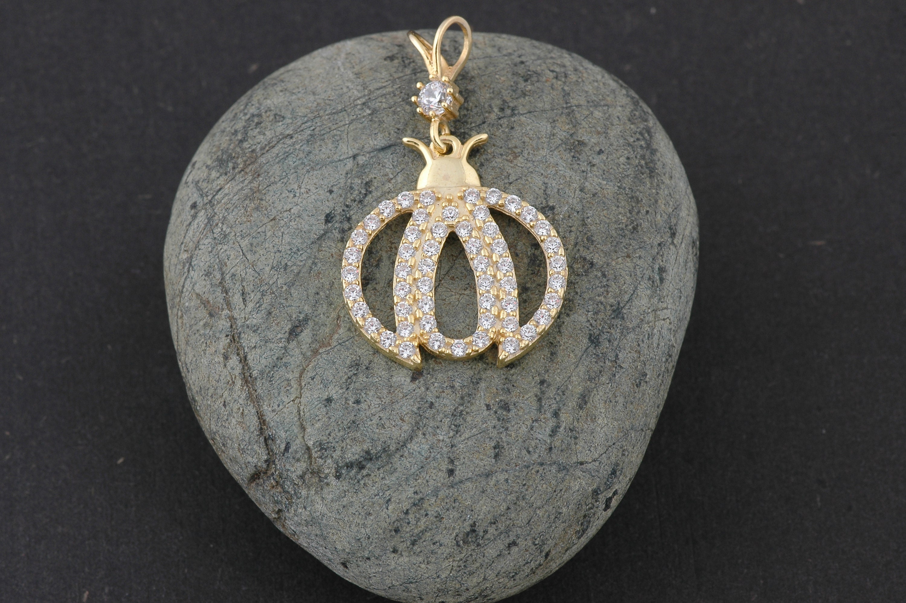 8K Gold Ladybird Necklace, Ladybird Pendant, Special Ladybird, Gift for ...