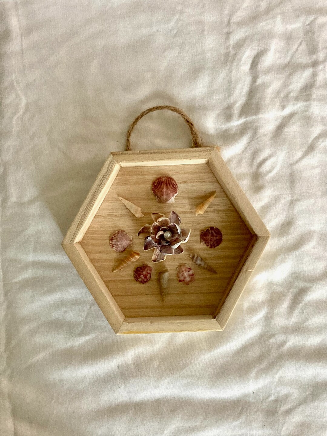 Seashell Shadow Box - Coastal Decor - Beach Art - Etsy