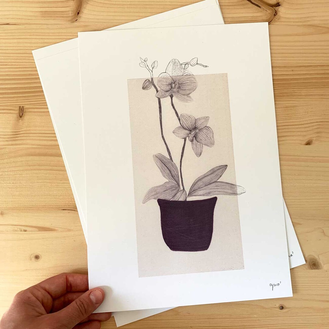 Orchid Floral Print, Orchid Print, A4 and A5 Print, Home Decor, Orchid ...