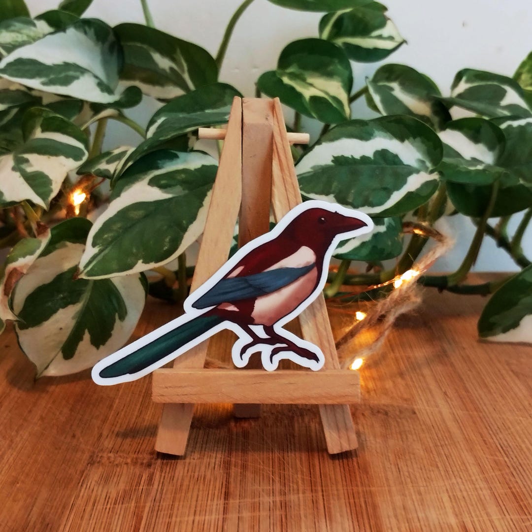 Beautiful Magpie Sticker for Laptop Bird Art Decorative Sticker Pack ...