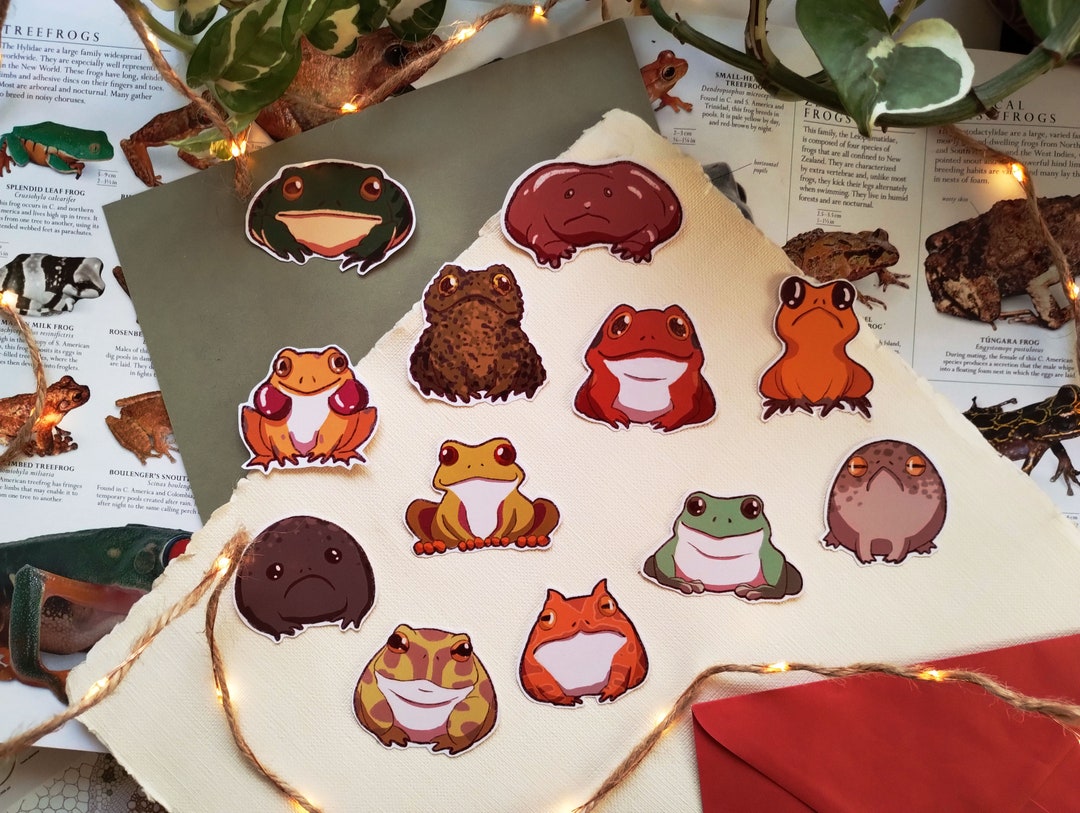 Cute Frogs Sticker Cartoon Toad Vinyl Stickers Laptop Sticker for Frog ...