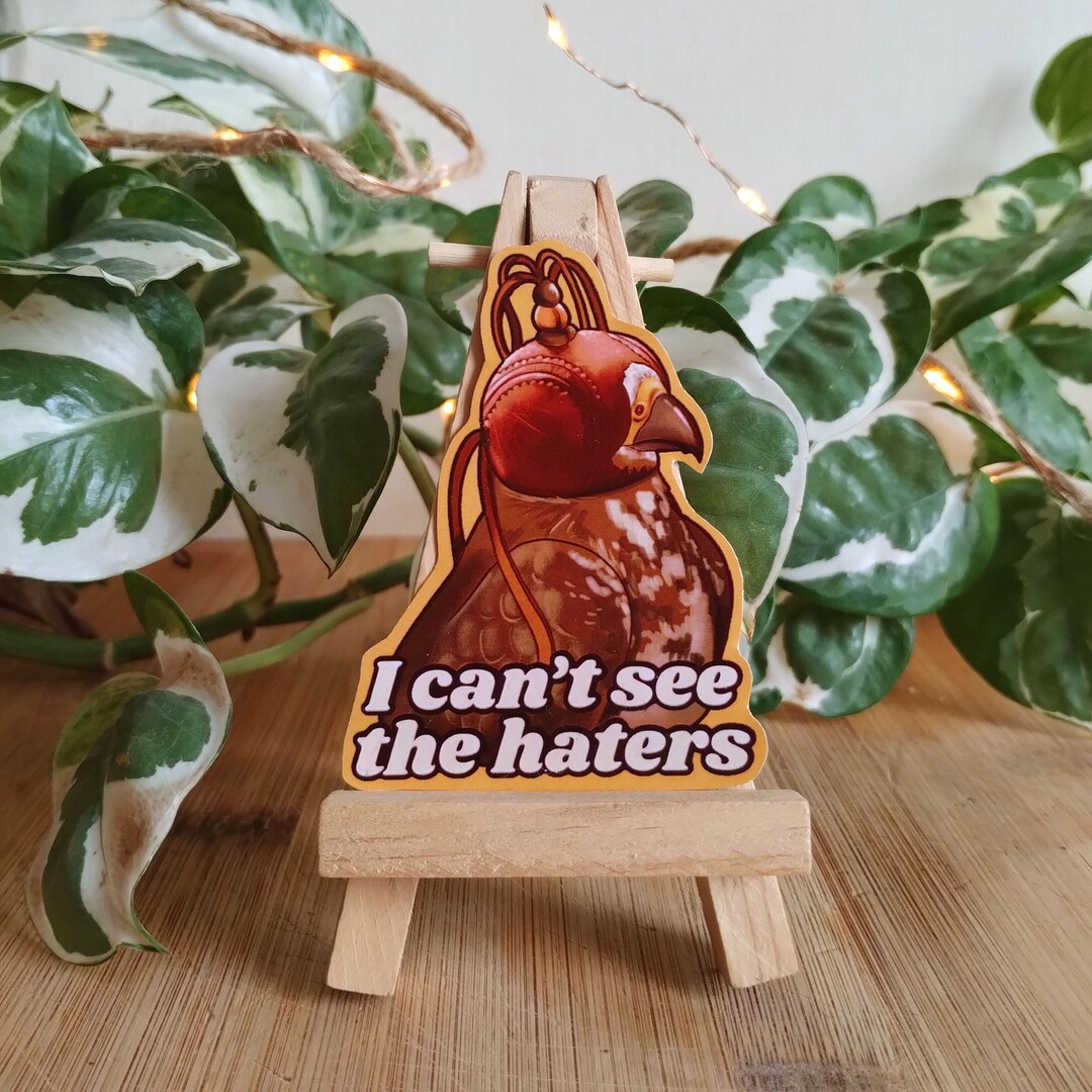 Cute Funny Hawk Sticker for Birds Lover Gift for Nature Enthusiast ...