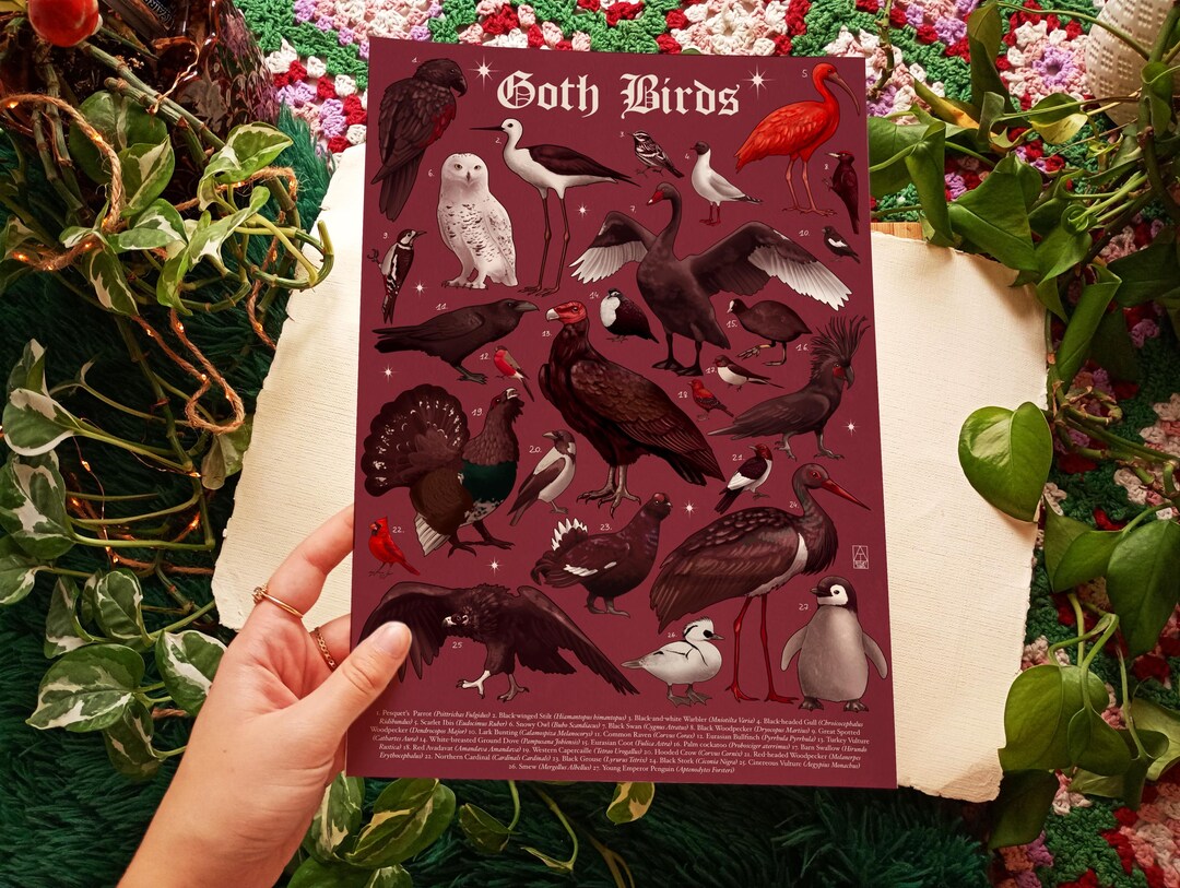 Gothic Art Bird Species Illustration Goth Vibe Birds Poster for Bedroom ...
