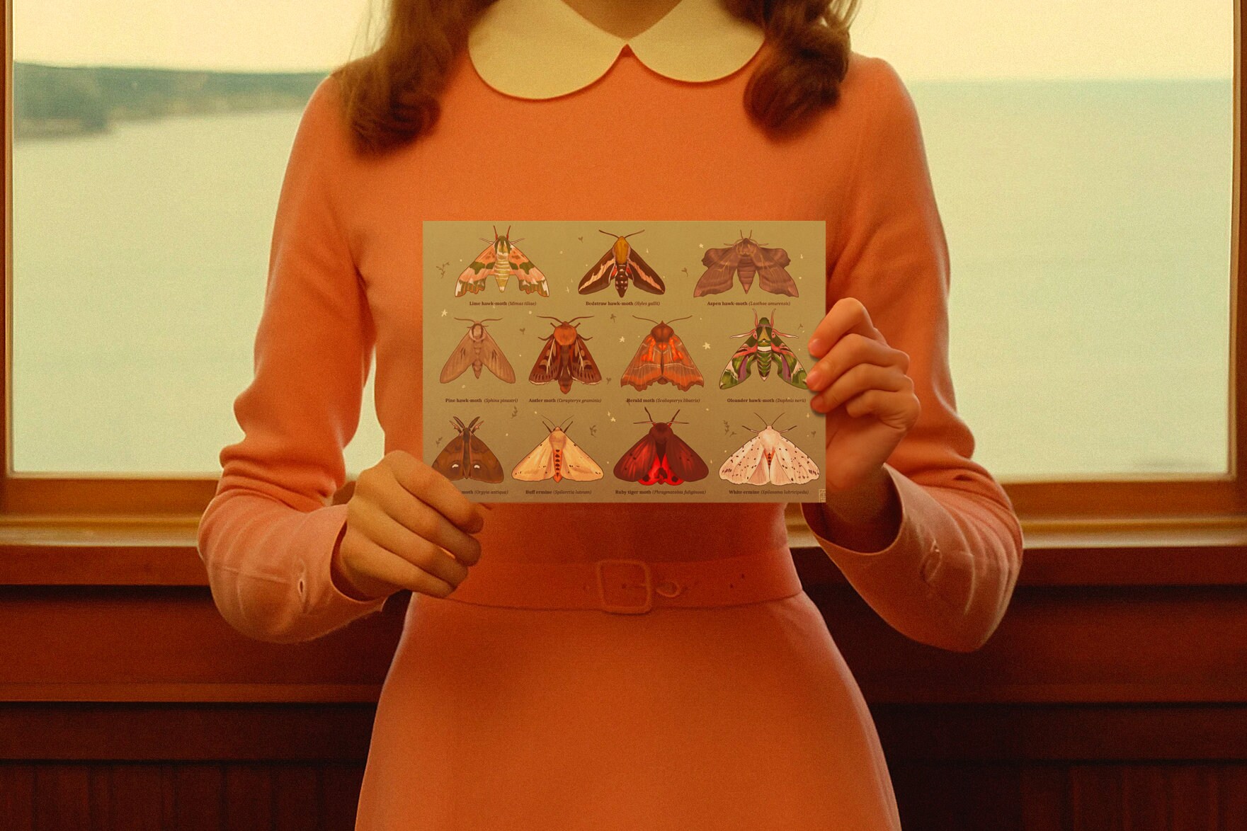 Moths of Finland Art Print Moths Species Scientific Poster Entomology ...