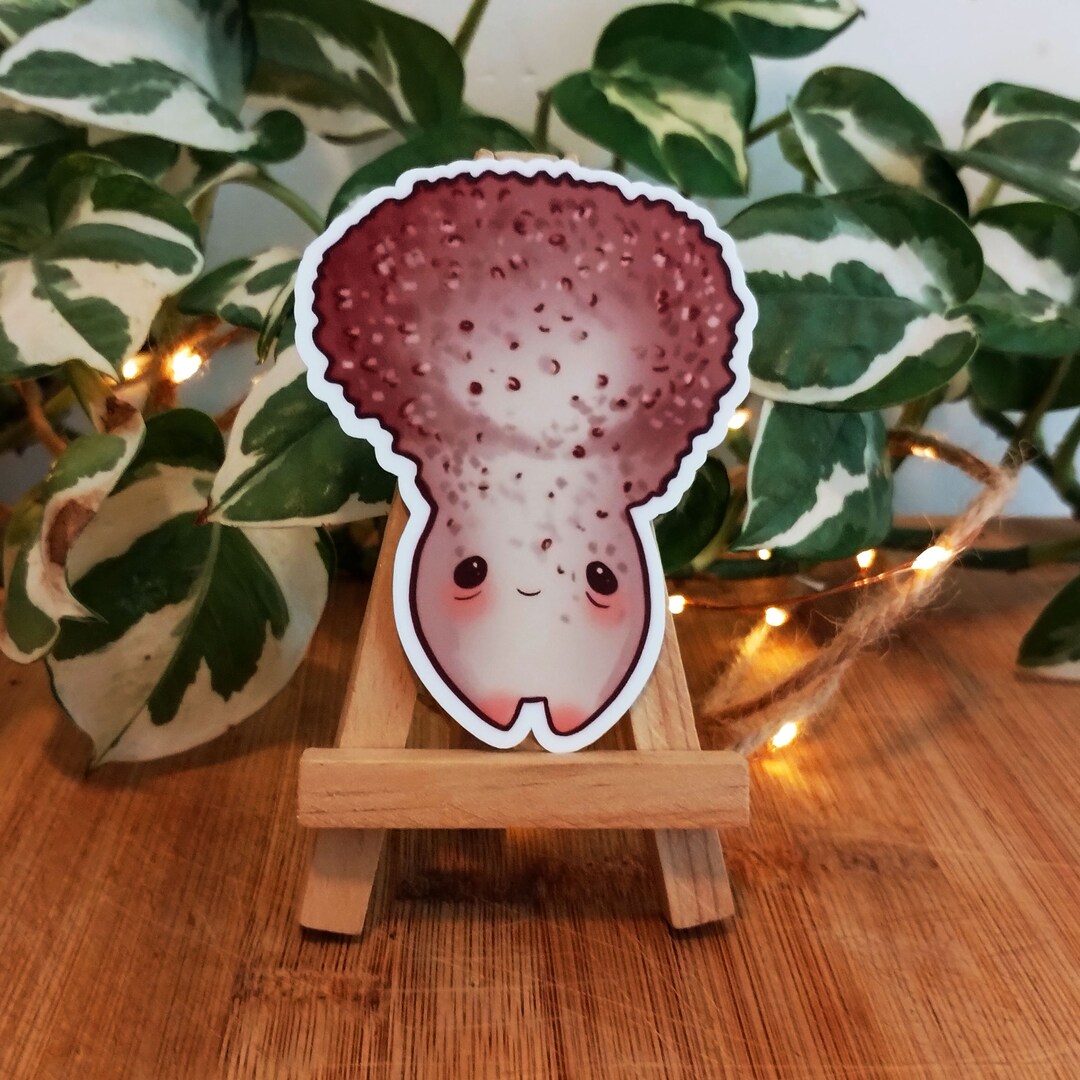 Cute Puffball Sticker for Laptop Sticker Biology Art Decorative ...