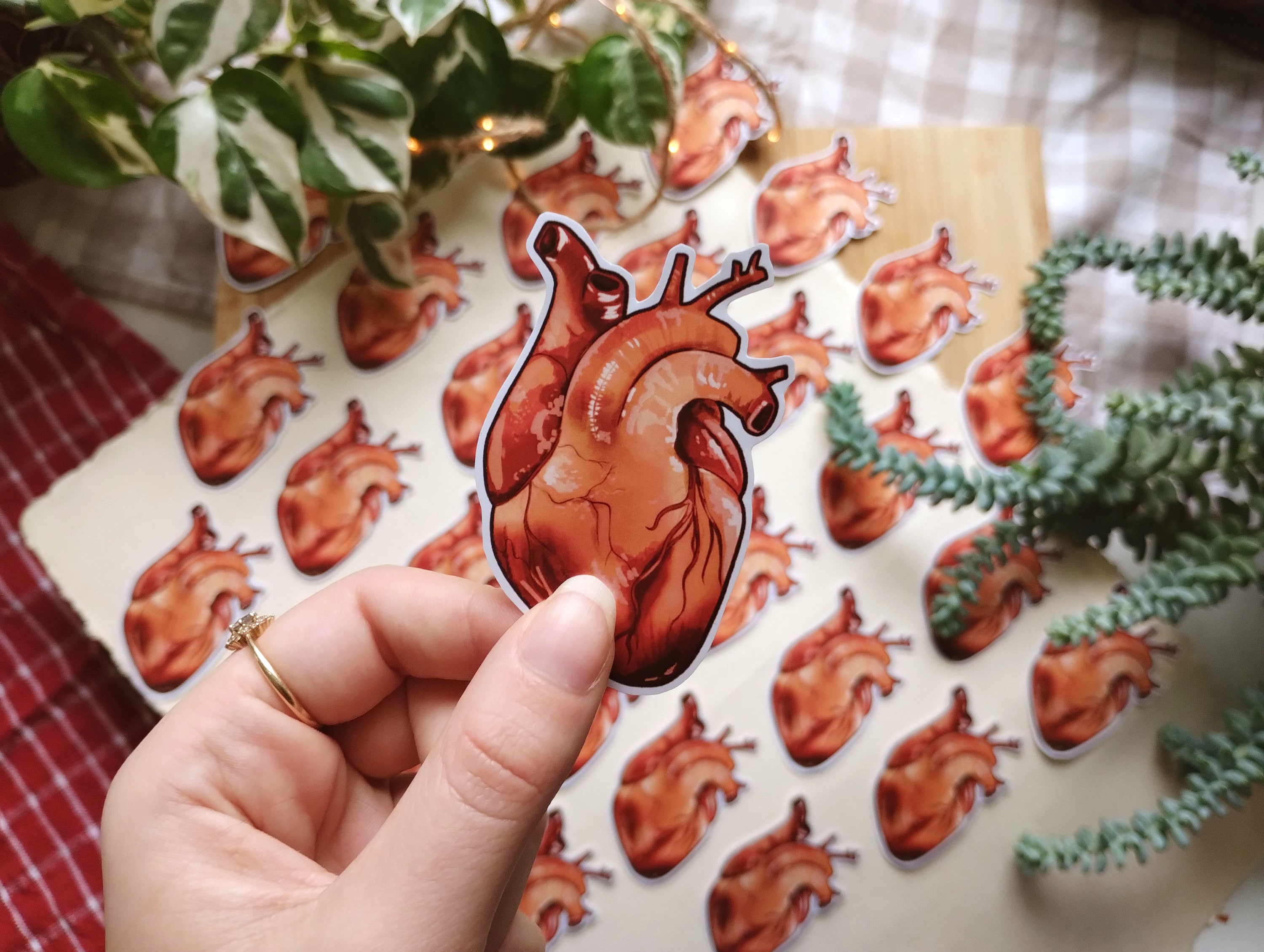 Human Heart Realistic Sticker Organs Vinyl Sticker Medical Art Laptop ...