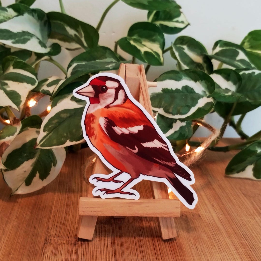 Beautiful Goldfinch Sticker for Laptop Bird Art Decorative Sticker Pack ...