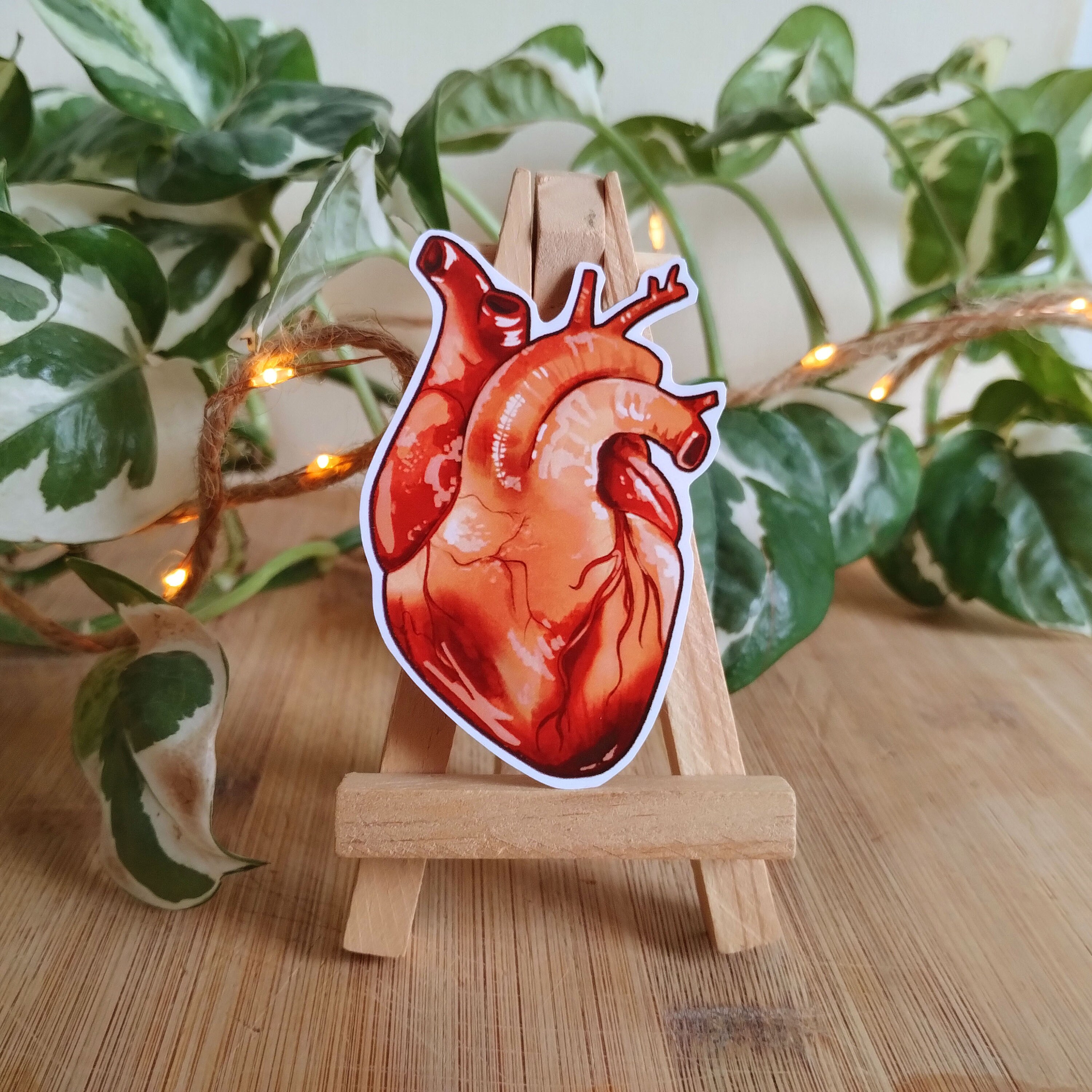 Human Heart Realistic Sticker Organs Vinyl Sticker Medical Art Laptop ...