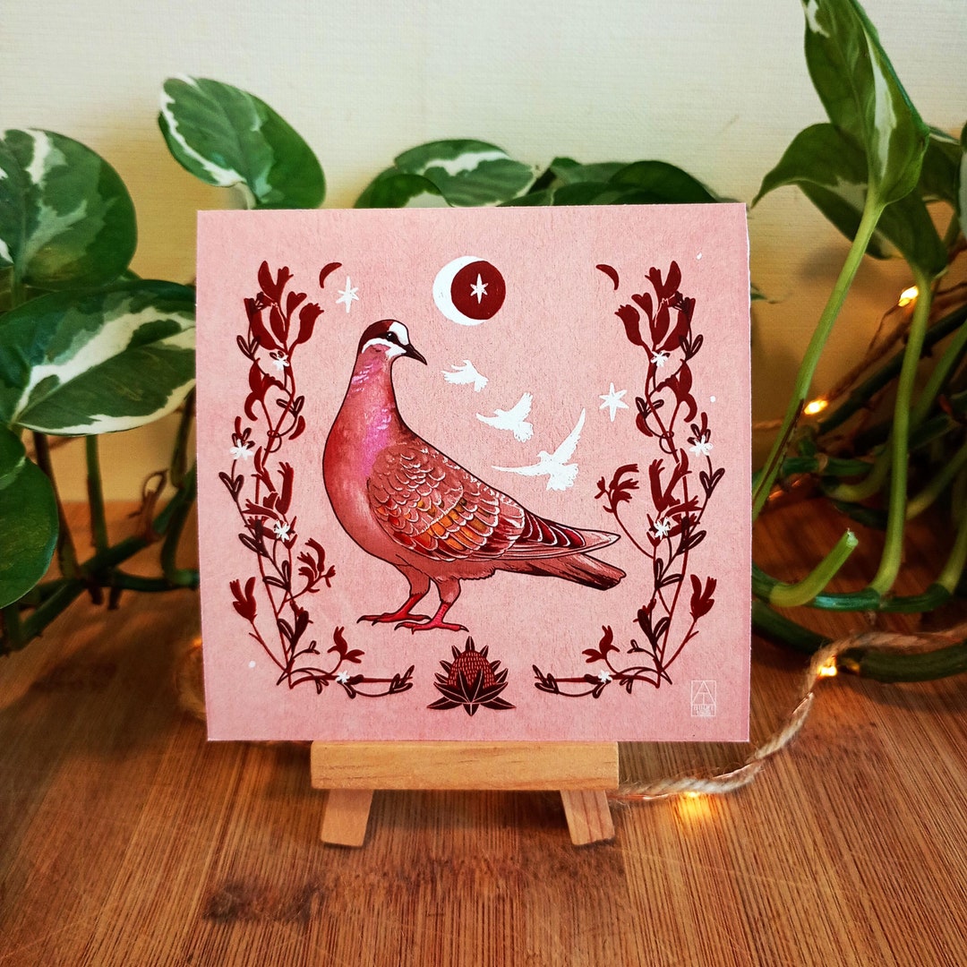 Pigeon Mini Print Common Bronzewing Drawing of Bird Illustration Dove ...