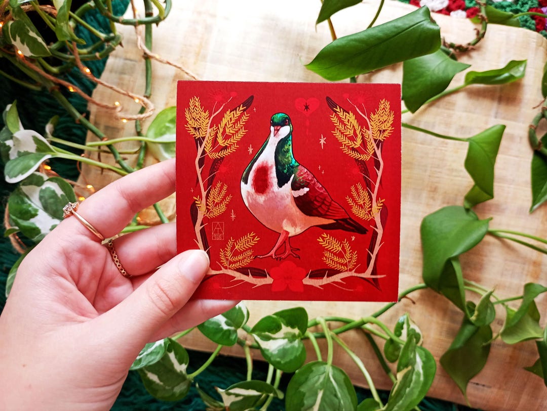 Pigeon Mini Print Bleeding Heart Dove Drawing of Bird Illustration Dove ...