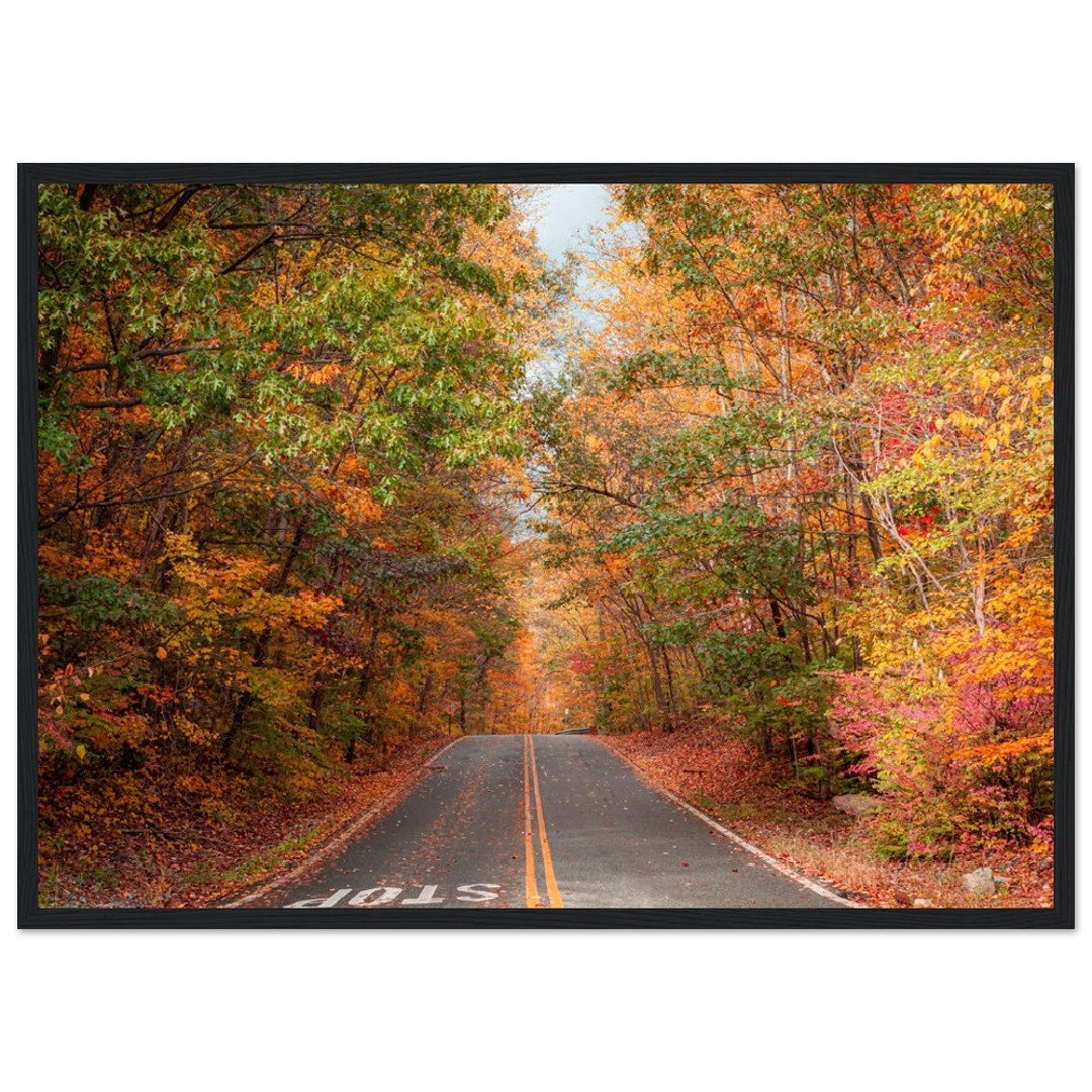 The Colors of Autumn -classic Semi-glossy Paper Wooden Framed Poster - Etsy