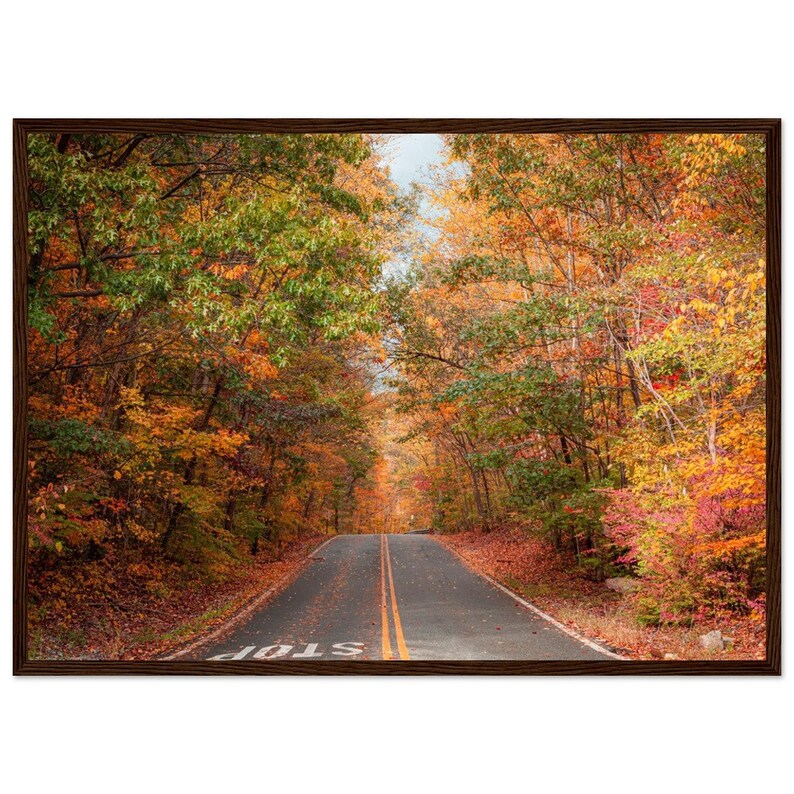 The Colors of Autumn -classic Semi-glossy Paper Wooden Framed Poster - Etsy