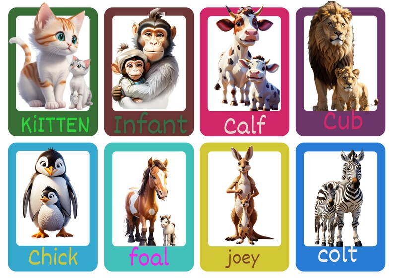 Baby Animal Flashcards - Etsy