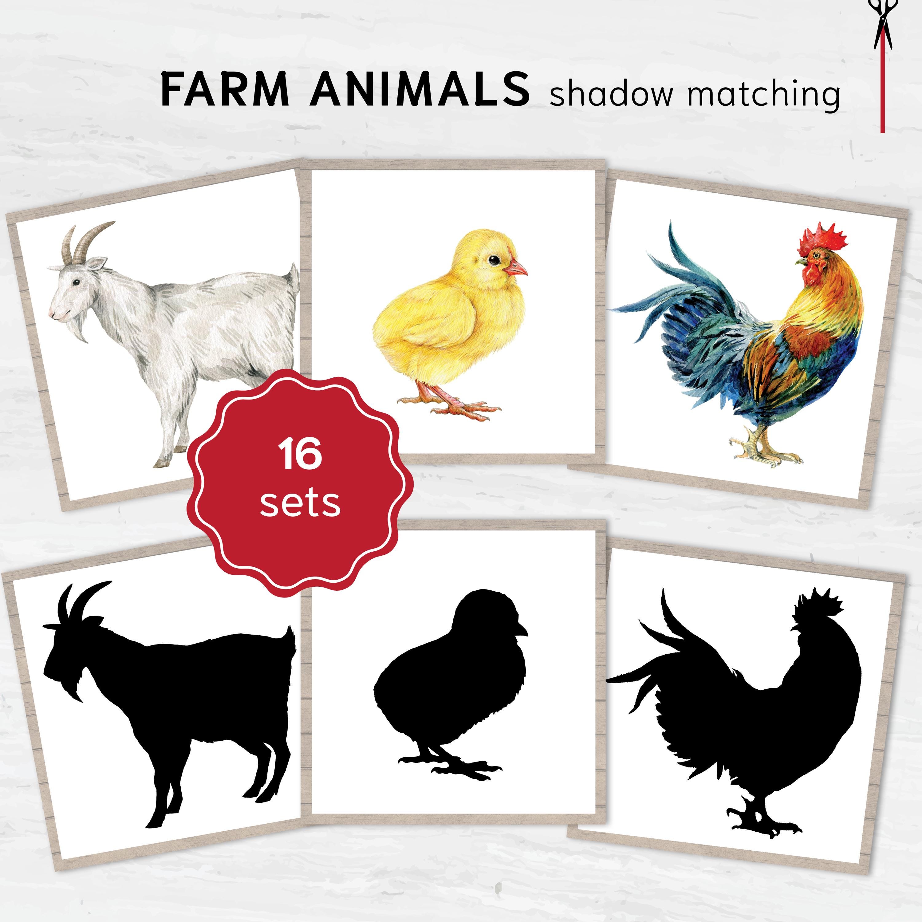 Farm Animal Shadows: Barnyard Montessori Matching Activity, Livestock ...