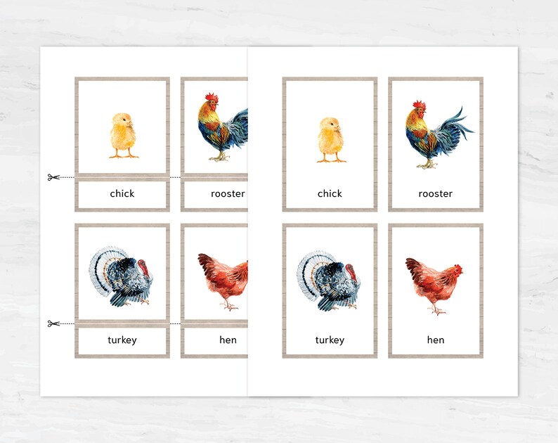 Watercolor Montessori Flashcards Farm Animals Learning A Printable ...