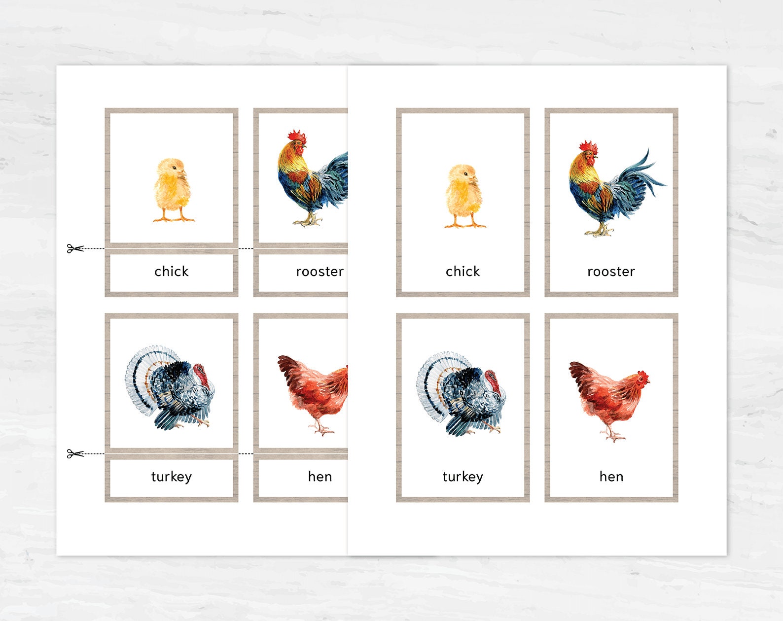 Watercolor Montessori Flashcards Farm Animals Learning A Printable ...