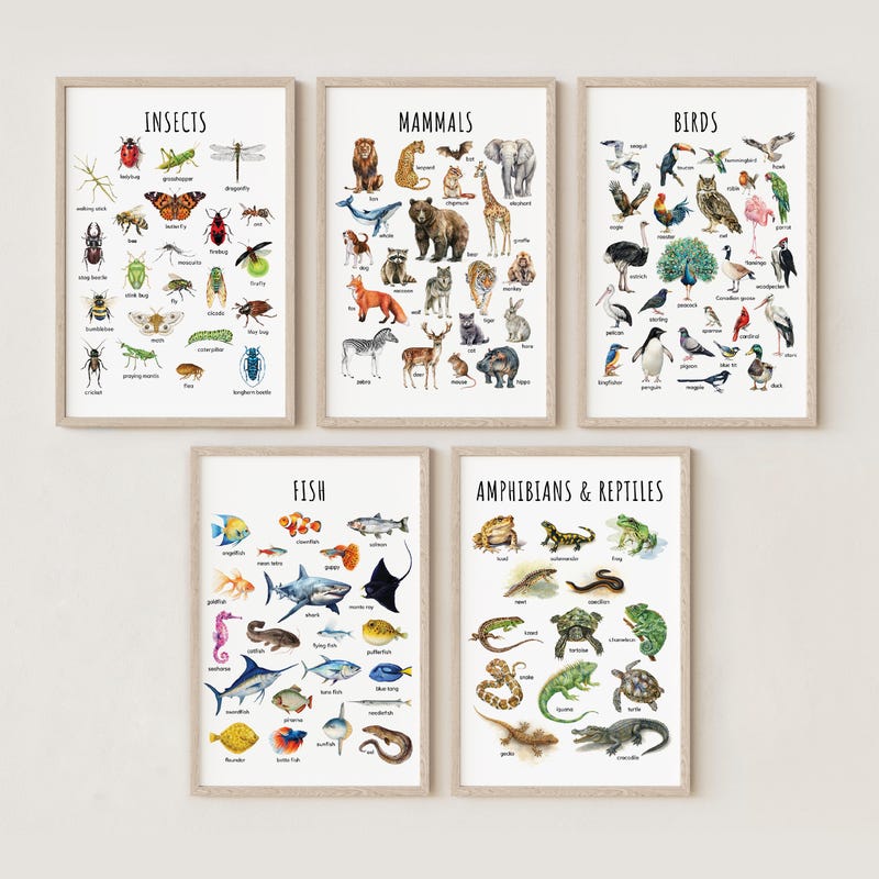 Animal Posters - Etsy