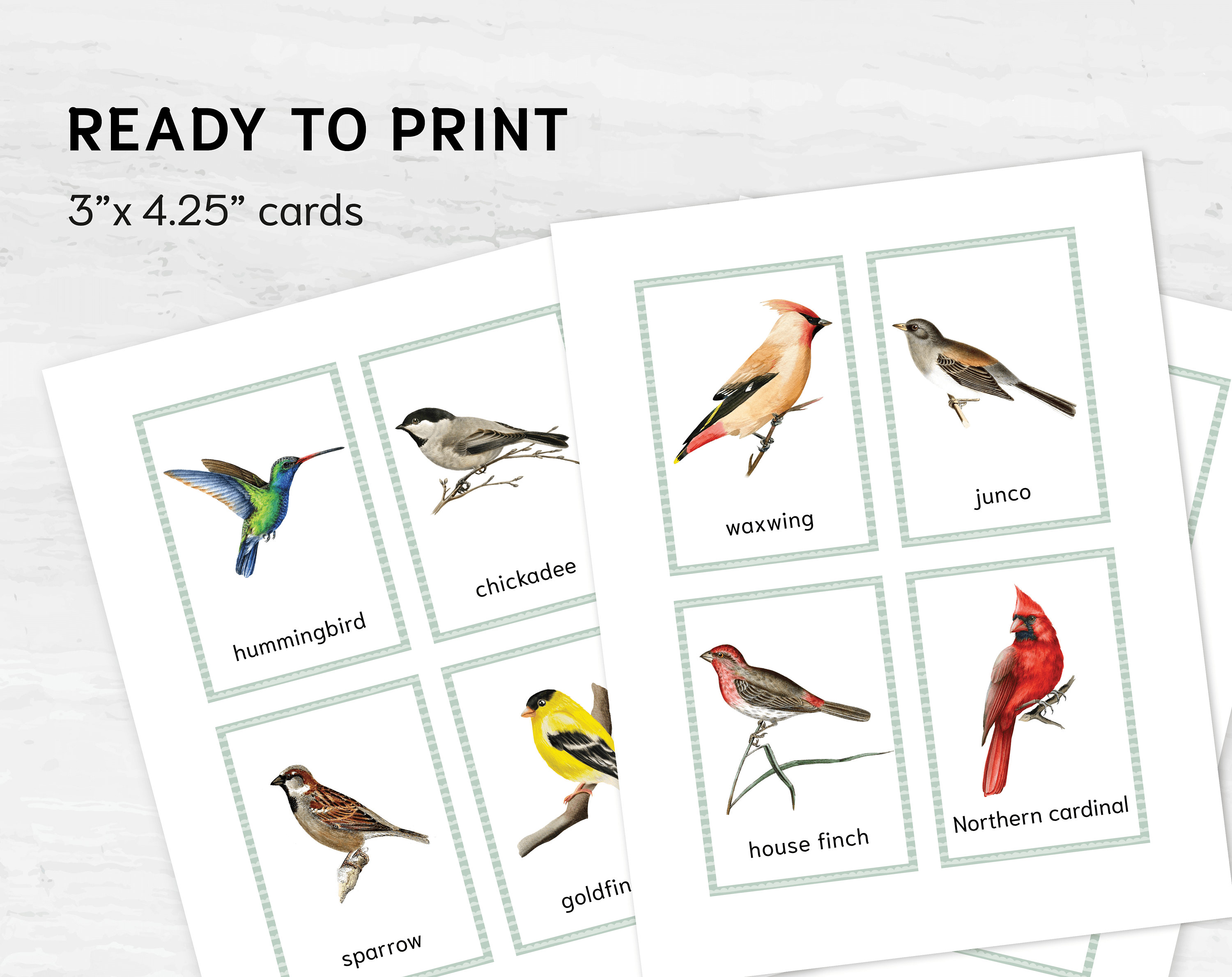Backyard Birds Printable Flashcards - Montessori Educational Materials ...