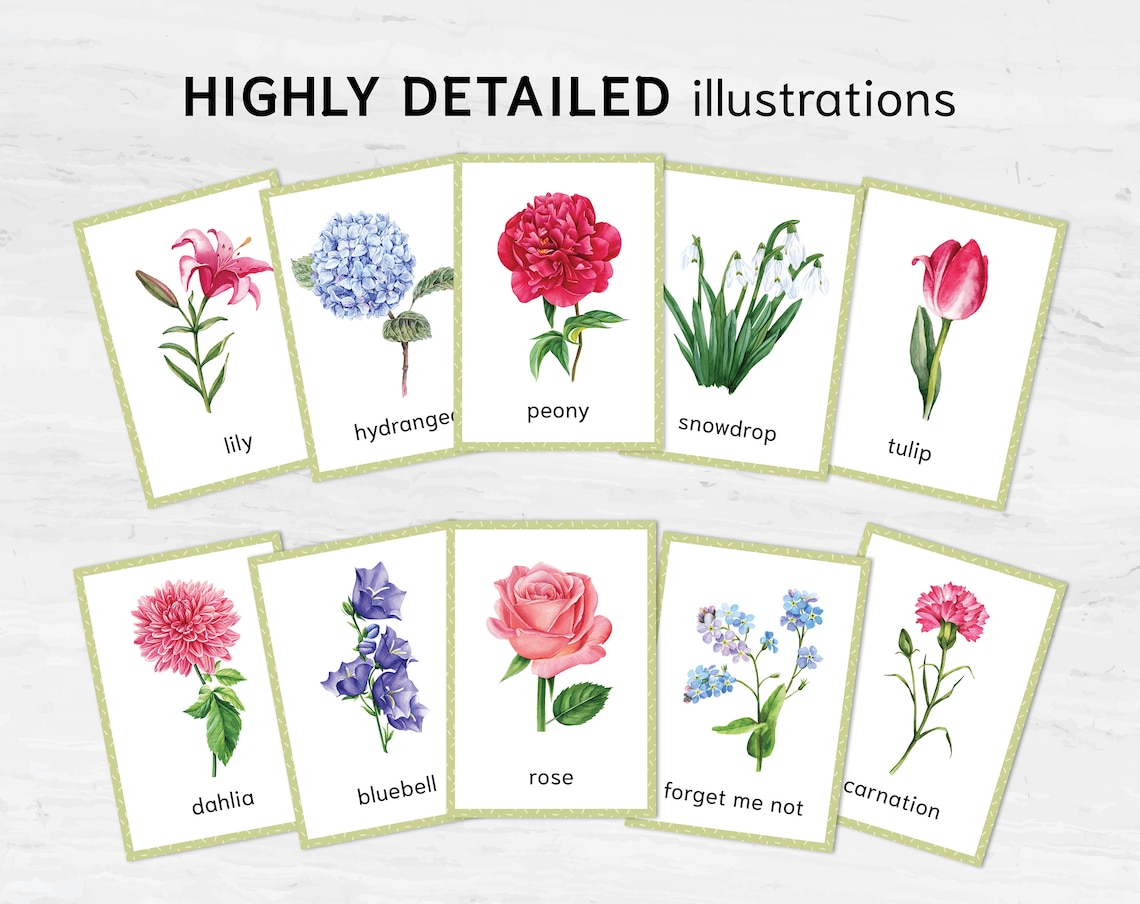 Printable Montessori Flower Flashcards Educational Homeschooling ...