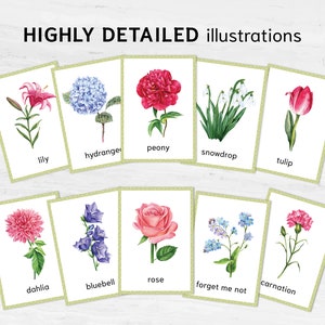 Printable Flower Flashcards - Montessori Educational Homeschooling ...