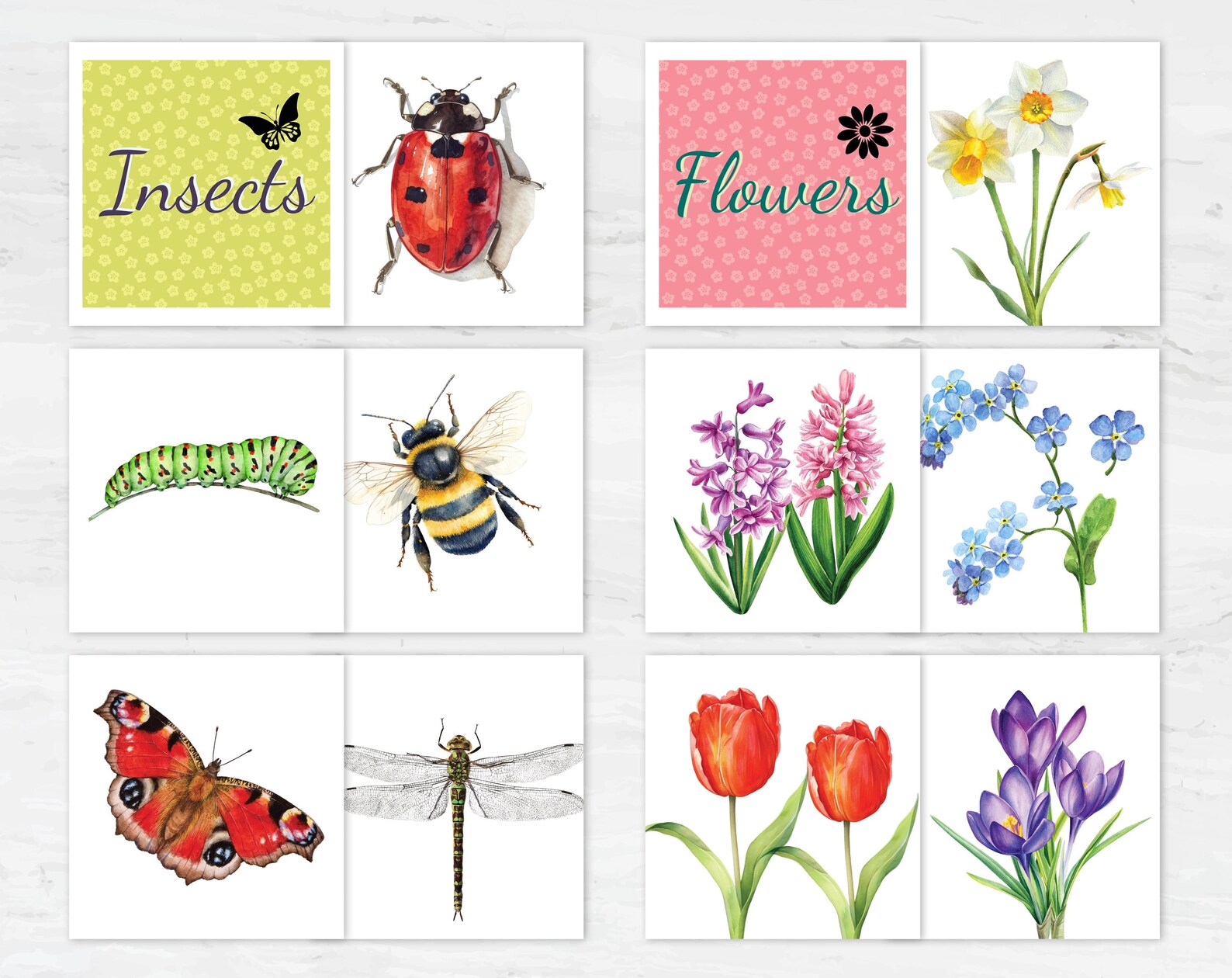 Spring Category Sorting Game Printable | Montessori Nature Activity ...