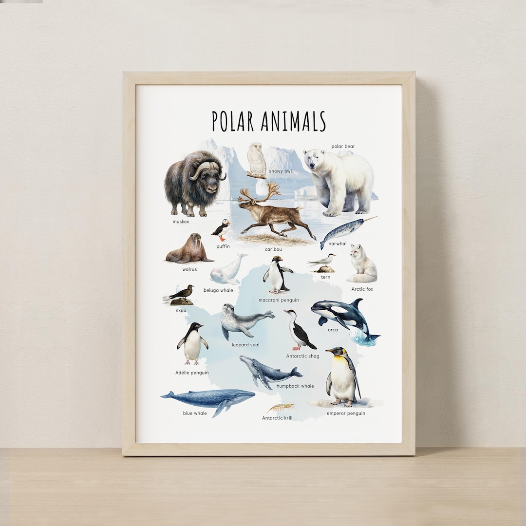Polar Animals Poster Printable | Arctic & Antarctic Animals Watercolor ...
