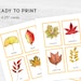 Fall Leaves Identification Cards Printable. Montessori Educational ...