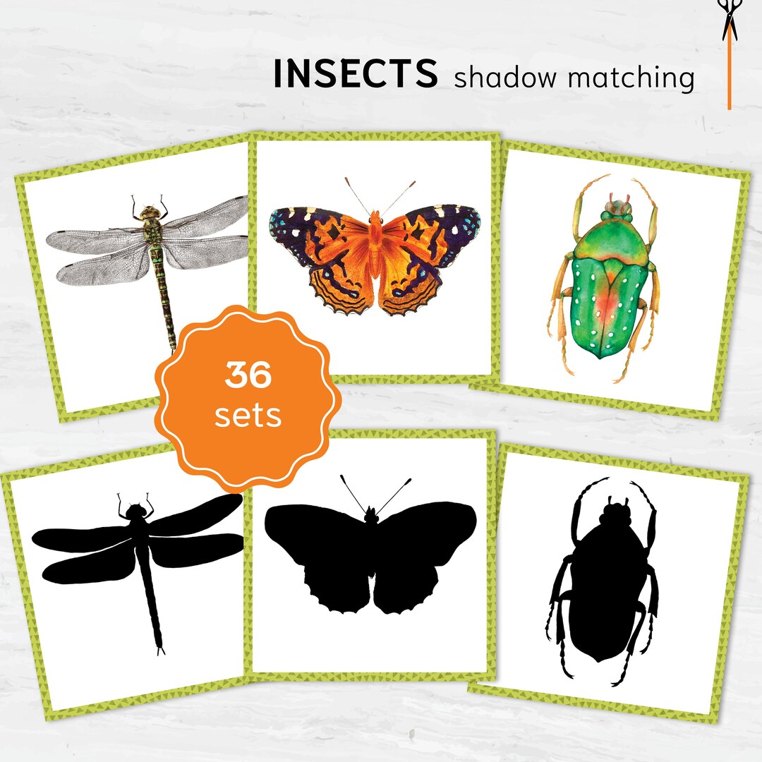 Insects Shadow Matching Cards. Montessori-based Bugs Learning Activity ...