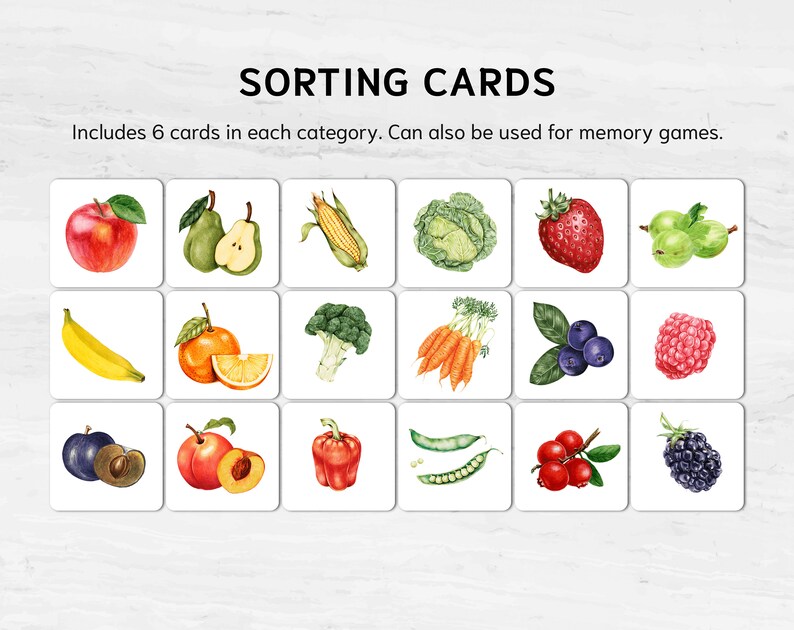 Preschool Category Sorting Activity. Printable Montessori Math ...