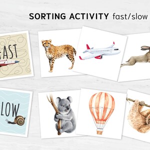 Explore Opposites Sorting Activity: Fast-or-slow Montessori-styled ...