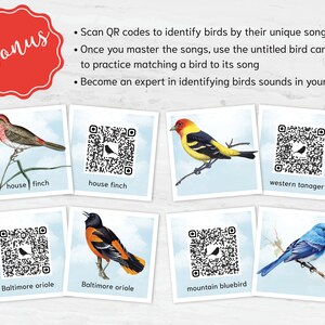 US Bird Identification Cards. Song Birds QR Quest With Authentic Sounds ...